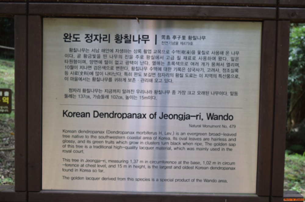 추천 기도터 | 천신찾아 삼만리